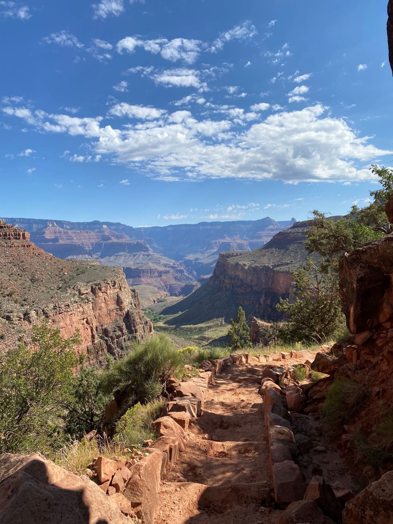 About us - Dynavision